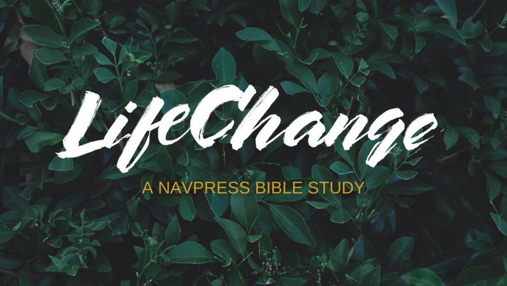 A Life-changing encounter with God's Word | The Disciplemaker